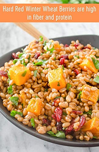 Hard Red Winter Wheat Berries | 25 LBS | Desiccant Free | Sproutable ...