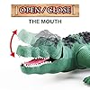 Liberty Imports Crocodile Toy Battery Operated 16 inches Alligator with ...