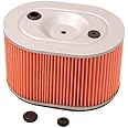 Amazon.com: 1984-1987 HONDA GL1200 (GOLDWING) AIR FILTER GL 1100/1200 ...