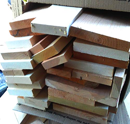 Wood-Hawk Assorted Hardwood Lumber - Mixed Species - Clear Hobby Craft ...
