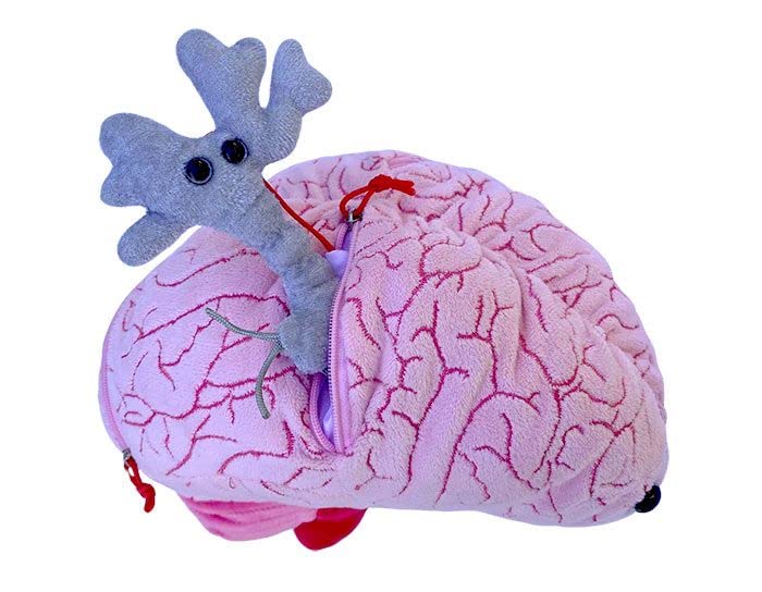 GIANTmicrobes Brain Plush GIANTmicrobes Deluxe Brain Plush With Neuron ...