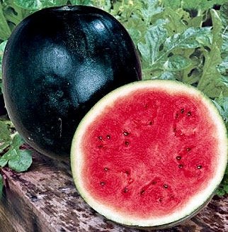 Sementi ANGURIA GIALLA e MELONE GIALLO CANARIO Piccola Guida ...