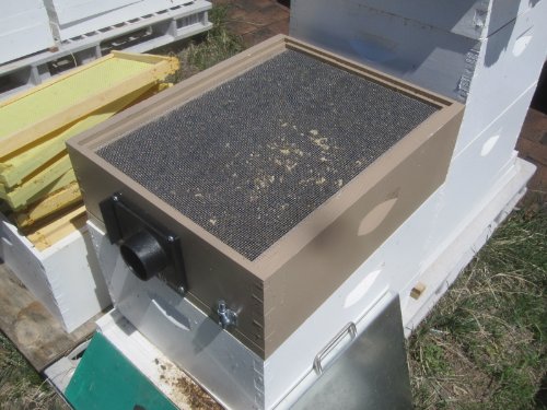 Price tracking for: Bee Vacuum Catch Box 2014 - Manythings.online