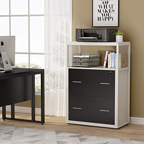 Tribesigns 2 Drawer Lateral File Cabinet with Lock, Letter/Legal / A4 Size, Large Modern Filing ...