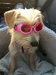 Amazon.com : Doggles ILS X-Small Pink Frame and Pink Lens : Dog ...