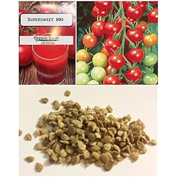 Amazon.com : Burpee Tomato Cherry Super Sweet 100 Hybrid Seed Packet : Vegetable Plants : Garden ...