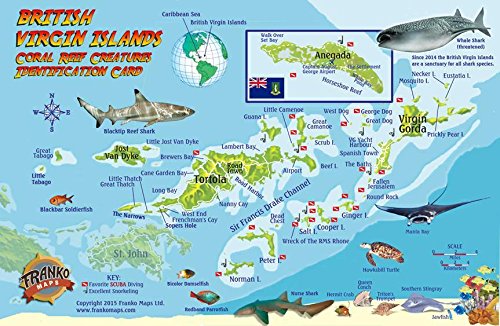 British Virgin Islands Dive Map & Coral Reef Creatures Guide Franko ...