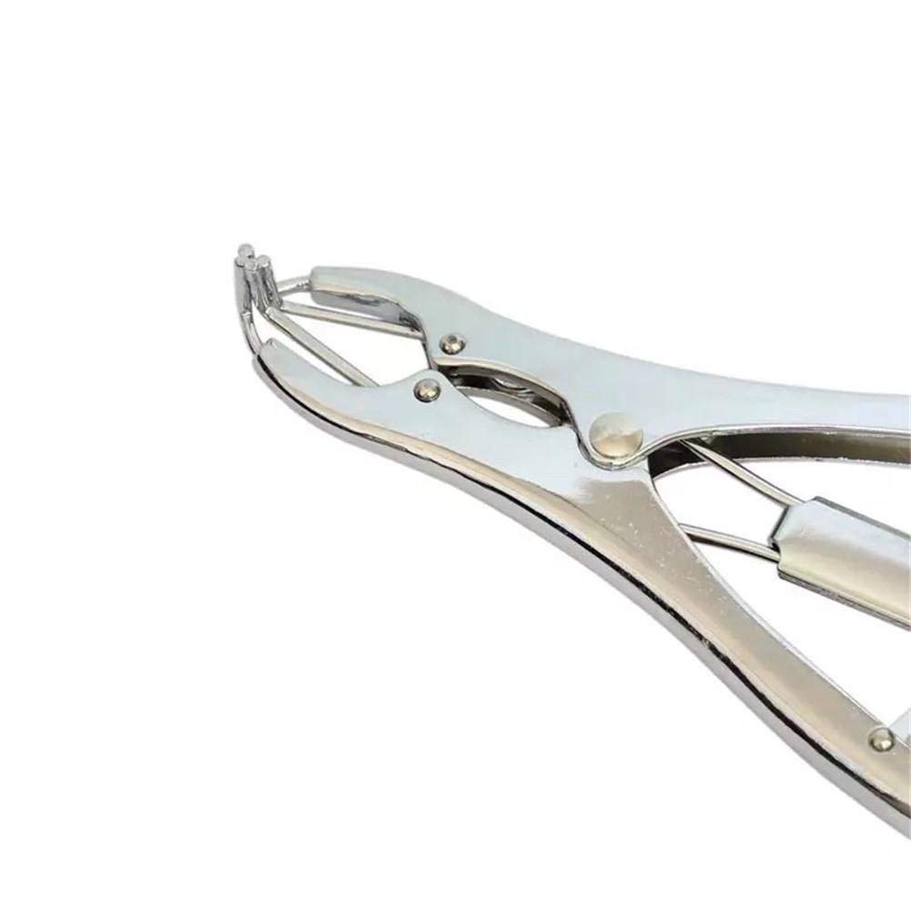 Hobby creativi Outgoing libeauty Pinza per Palloncini ad espansione per ...