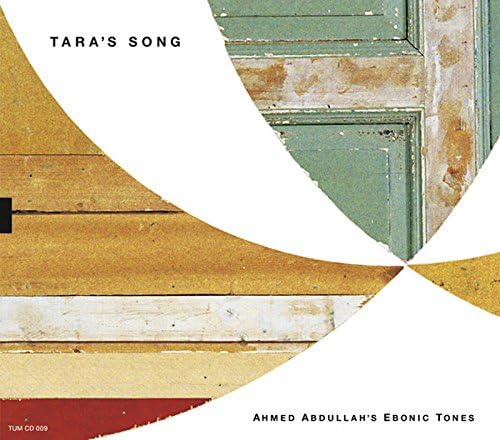 Tara's Song: Amazon.co.uk: Music