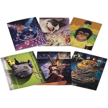 Amazon.com : Avanti Birthday Card Collection, Party Animals, 6-Count ...