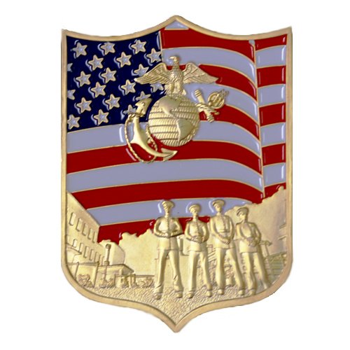 Buy Marine Corps Security Guard Challenge Coin - MSG USMC Coin ...