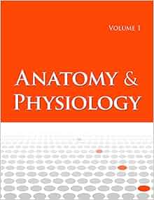 Anatomy and Physiology by OpenStax: J. Gordon Betts;Dean H. Kruse;Kelly ...