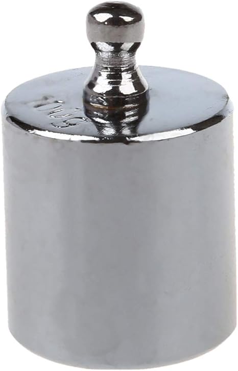 Amazon.com: Professional Weights 100 G Scale Balance Calibration ...