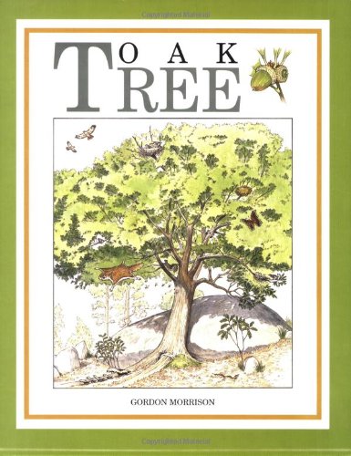 Oak Tree: Morrison, Gordon: 9780618609185: Amazon.com: Books