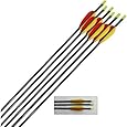 Archery Fibreglass Arrows set of 6x30": Amazon.co.uk: Sports & Outdoors