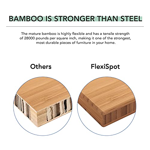 FLEXISPOT E6 Essential Dual Motor Bamboo 3 Stages Electric Standing ...
