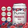 Humm Sparkling Probiotic Berry Cream Soda - Zero Sugar, Zero Calorie, 2 ...