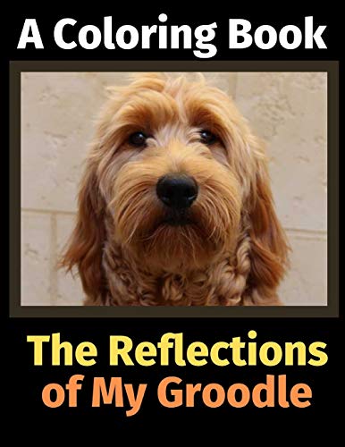 Amazon.com: The Reflections of My Groodle: A Coloring Book ...