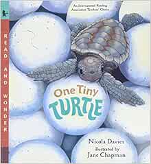 One Tiny Turtle: Read and Wonder: Davies, Nicola, Chapman, Jane ...