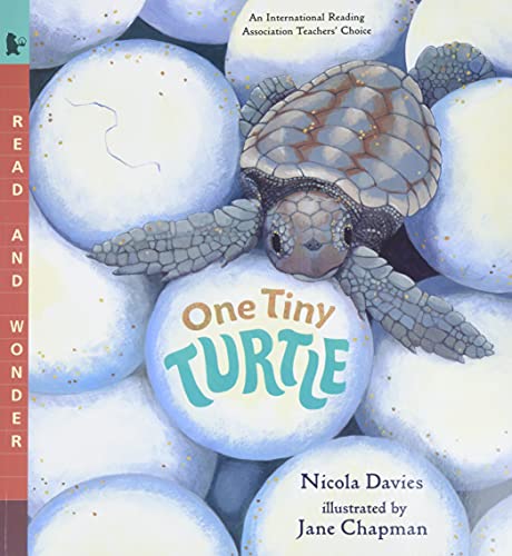 One Tiny Turtle: Read and Wonder: Davies, Nicola, Chapman, Jane ...