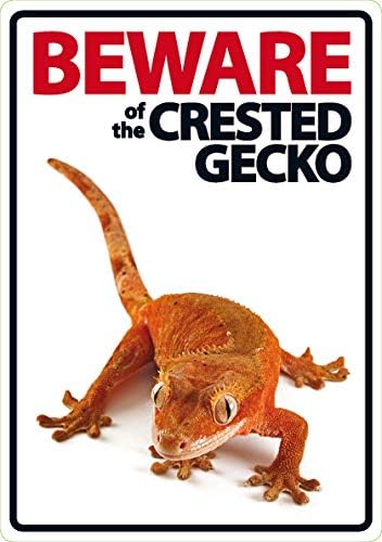 Beware Of The Crested Gecko A5 Sign – BigaMart