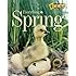 When Spring Comes: Kevin Henkes, Laura Dronzek: 9780062331397: Amazon ...