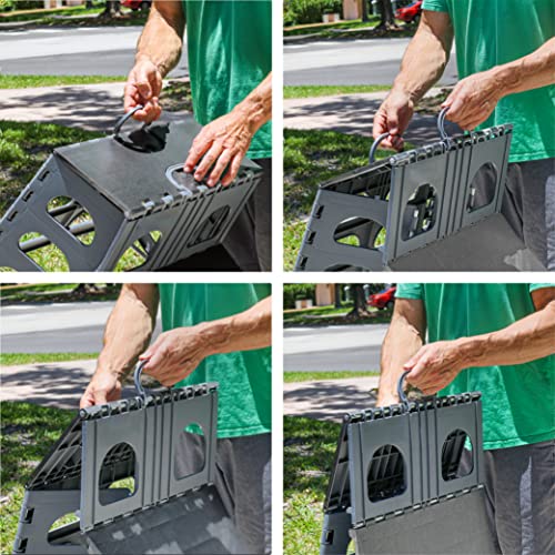 Bee Neat 2 Step Folding Step Stool for Pets and Dogs - Indoor Outdoor ...