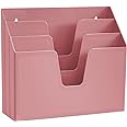 Amazon.com: Acrimet Horizontal Triple File Folder Holder Organizer ...