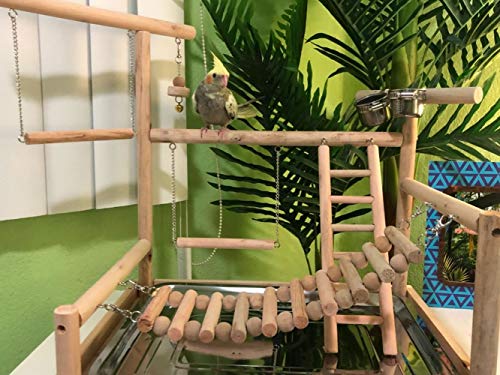 Mrli Pet Large Parrots Playstand Bird Playground Wood Perch Gym Stand ...