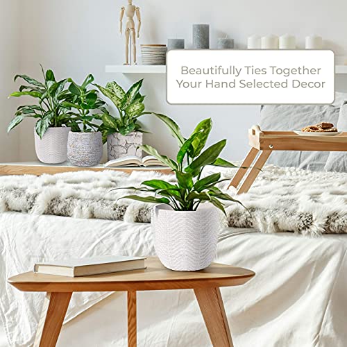 INSPIRELLA Timeless Plant Pot – 6.5" Stunningly Detailed Ceramic Pots ...
