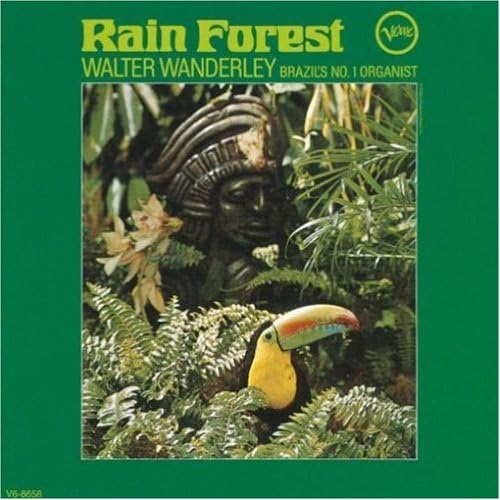 Rain Forest: Amazon.co.uk: Music