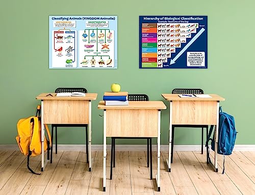 ZOCO - Biology Posters 2 Pack: Hierarchy Of Biological Classification ...