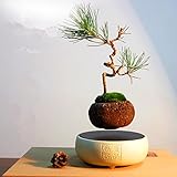 Levitating Air Bonsai Pot - The Green Head
