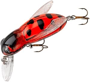 Amazon.com : Rebel Bumble Bug Fishing Lure - Lady Bug : Fishing Jigs ...