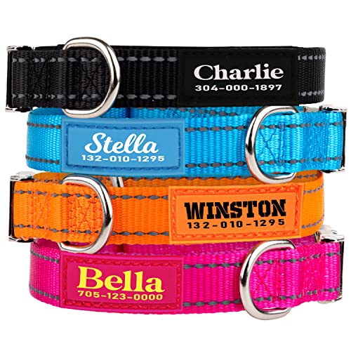 The Best Customizable Dog Collars - Dogtime