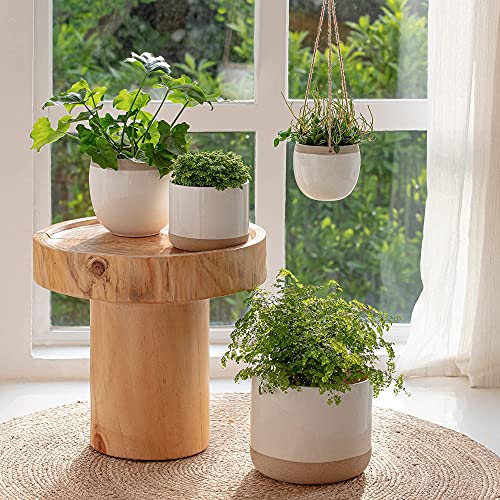 LA JOLIE MUSE Ceramic Hanging Planters Plant Pots - 5.5 Inch White ...