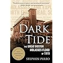 Dark Tide: The Great Boston Molasses Flood of 1919: Stephen Puleo ...