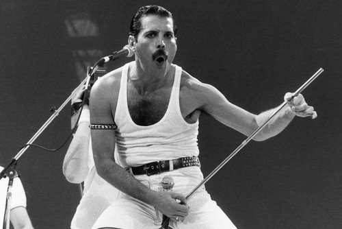 Queen Freddie Mercury iconic pose holding microphone stand - Import It All