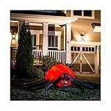 Massive Animated Inflatable Spider - Creeps Up and Down - The Green Head