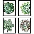 Amazon.com: Succulent Flowers Plant Botanical Wall Art Home Decor ...