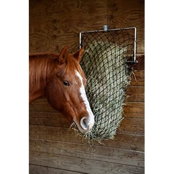 Amazon.com: Easy Loading Wall Mounted Hay Hoops Horse Slow feeder WITH ...