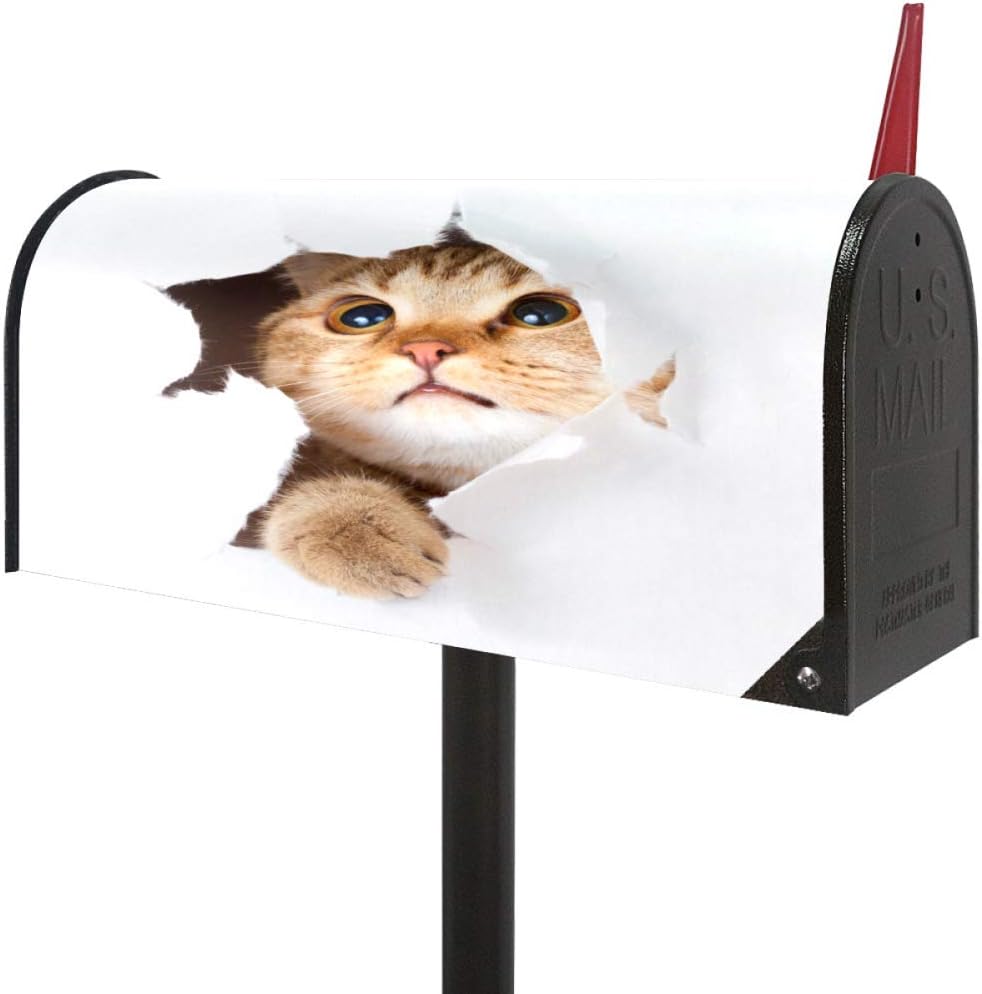 Amazon Josid Lovely Cat In Wallpaper Hole Large Mailbox Covers amazon-josid-lovely-cat-in-wallpaper-hole-large-mailbox-covers