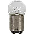 Amazon.com: Wagner Lighting BP90 Standard Multi-Purpose Light Bulb Card ...