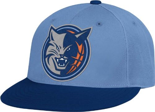 Amazon.com : NBA Charlotte Bobcats Flat Brim Flex Fit Wool Hat, Small ...
