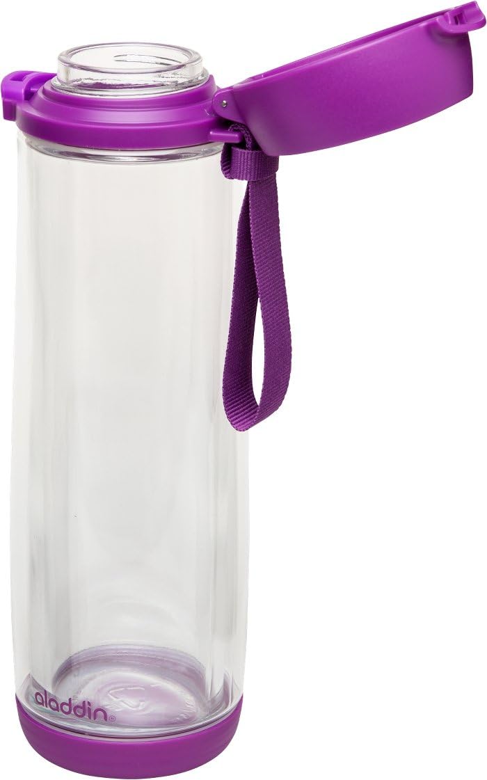 Aladdin Glass Lined Water Bottle, Berry, 0.53 Litre – BigaMart