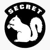 Amazon.com - Secret Squirrel 35M - Black Distressed Window Bumper ...