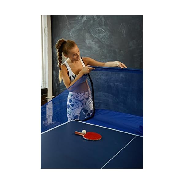 Table Tennis Ball Catch Net - Portable Ping Pong Return Board - Serve ...