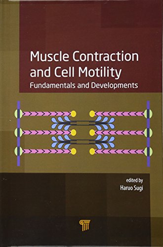 Muscle Contraction and Cell Motility: Fundamentals and Developments ...