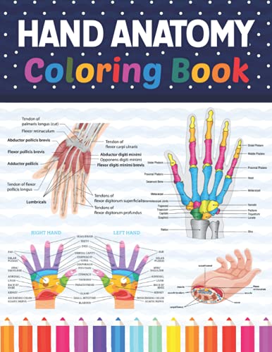 Hand Anatomy Coloring Book: Hand Coloring Work book for Medical and ...