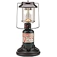 Amazon.com: Coleman QuickPack 2-Mantle Propane Lantern with Carry Case 1000 Lumens Lantern with ...